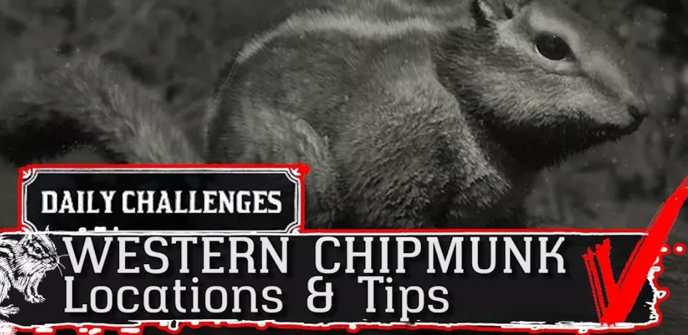 Chipmunk Location RDR2 | Where to Find it and Hunting Guide