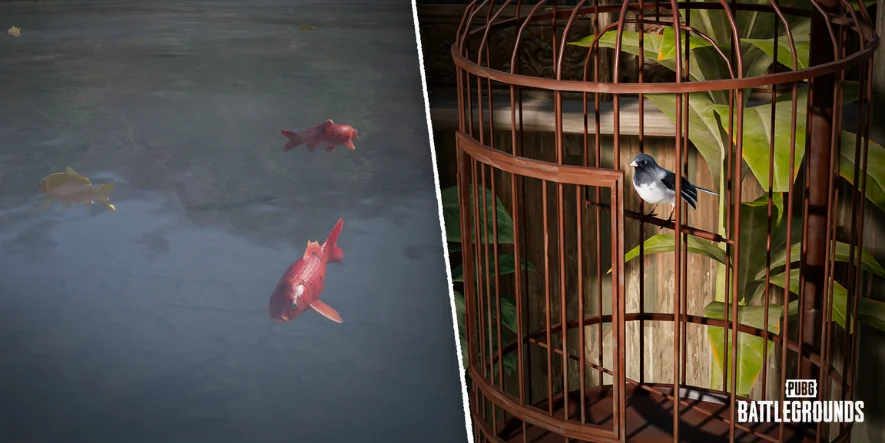 Where To Find Bird Cage in PUBG Rondo? - Gamerz Gateway | Gamerz Gateway